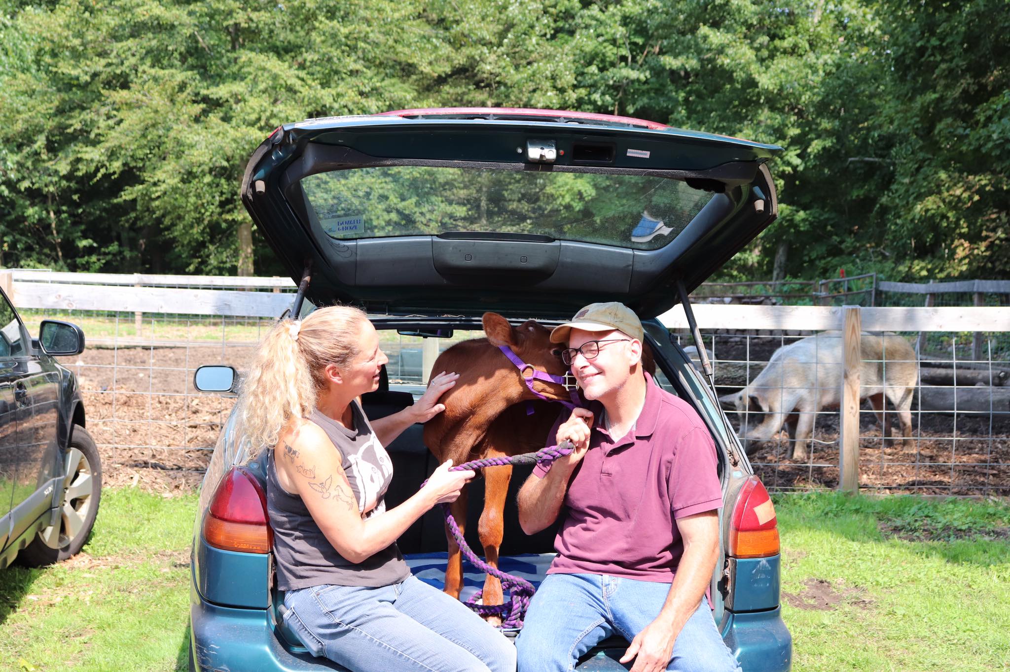 Our History | Locket's Meadow Farm